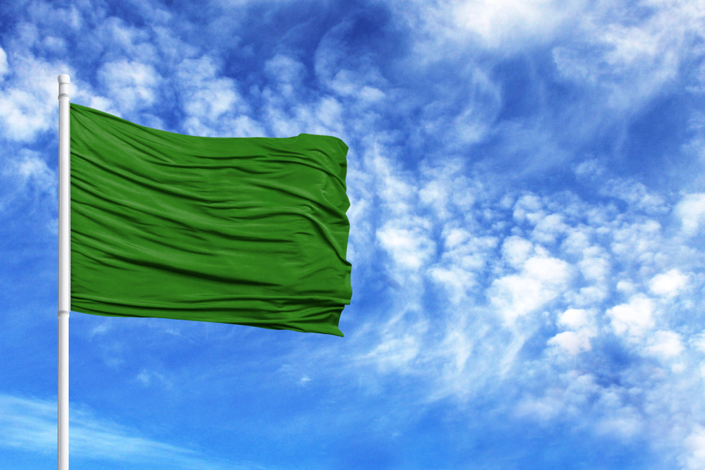 Four Green Flags Healthcare Marketing Leaders Should Require in a ...